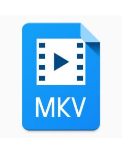 How Do I Play MKV Files On My TV? (Explained) | WhatsaByte