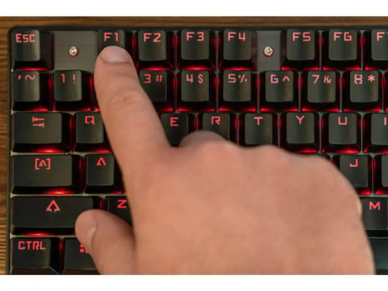 How Do I Use the F1 To F12 Function Keys? | WhatsaByte
